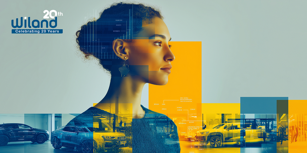 Turn Marketing Segmentation Disadvantages into Advantages - Wiland